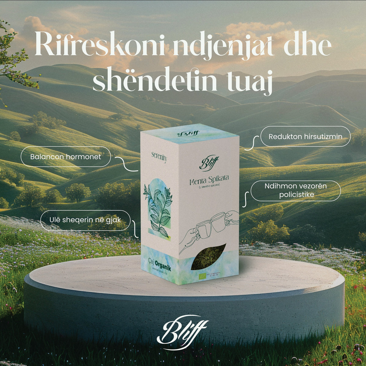 Çaj Spearmint (Menta Spikata), 50g – DYQANI BIO